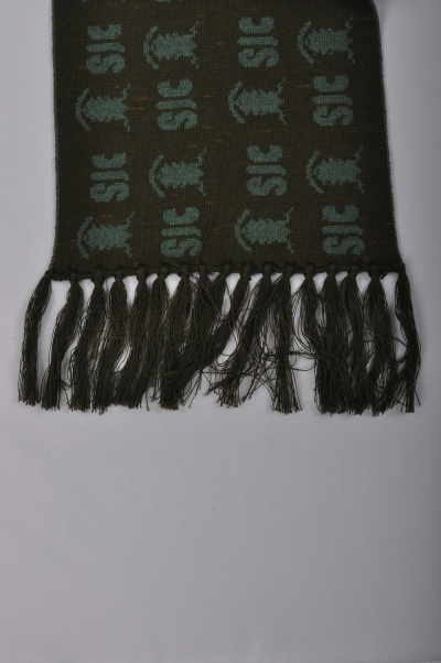 Design LOGO scarf style High school graduation Anniversary scarf ...